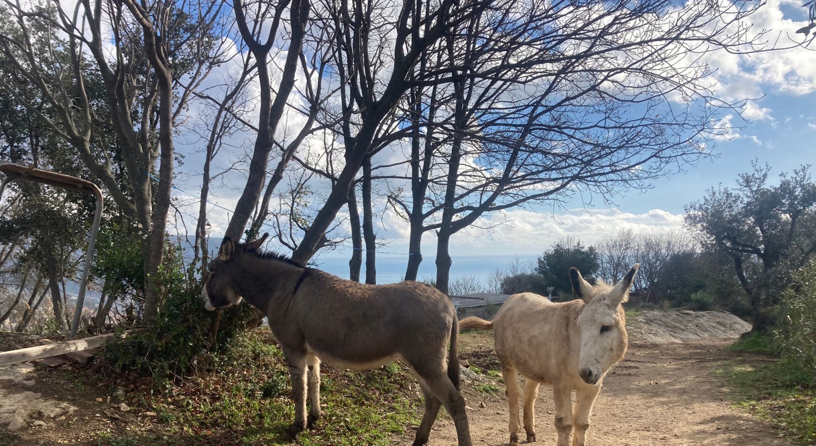 Parco Natura Asinolla